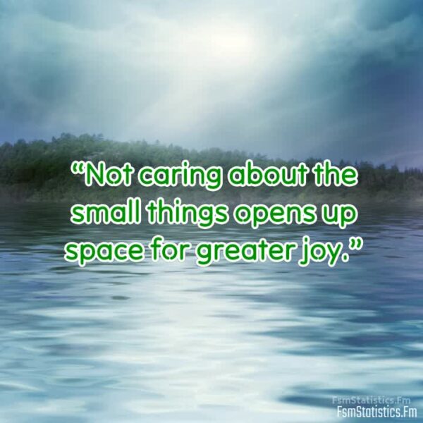 Quotes About Not Caring - DesiQuotes.com